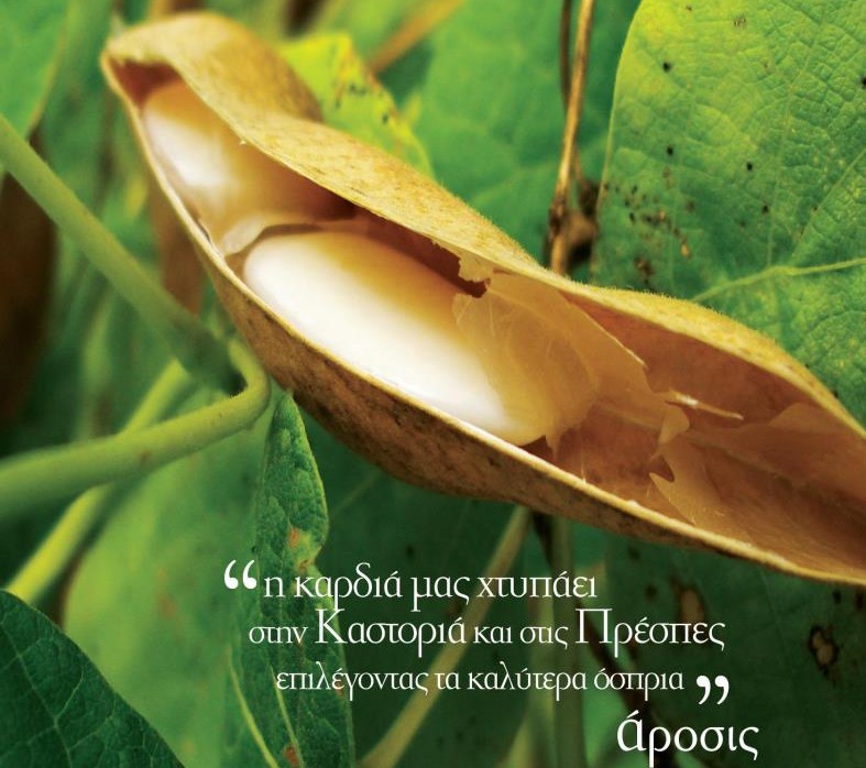 ΤΡΥΦΩΝΑΣ ΦΩΤΙΑΔΗΣ- Ο ΑΝΘΡΩΠΟΣ ΠΟΥ ΕΚΑΝΕ ΤΑ ΦΑΣΟΛΙΑ ΚΑΣΤΟΡΙΑΣ ΜΟΔΑ ΣΤΟ ...