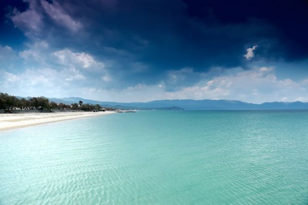 ΕΚΑΤΟΝΤΑΔΕΣ ΟΙ ΚΡΑΤΗΣΕΙΣ ΑΠΟ ΤΗΝ ΟΛΛΑΝΔΙΑ ΓΙΑ ΤΗ ΧΑΛΚΙΔΙΚΗ